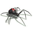 (TB7D6TJ) Travel Spider - Arachnomania