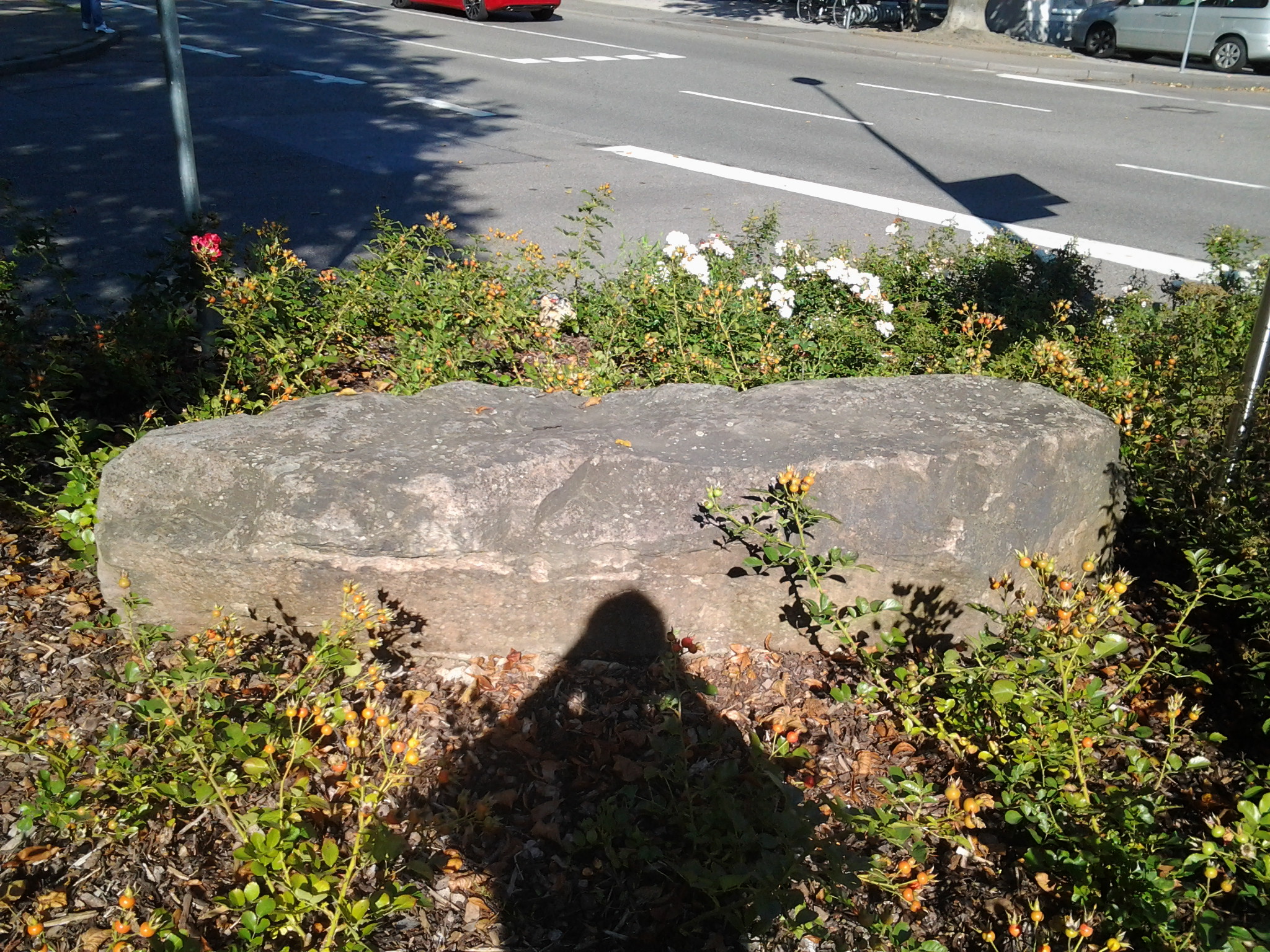 GC638AN Buntsandstein trifft Muschelkalk (Earthcache) in Baden ...