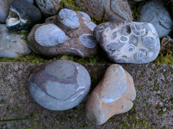 GC7K2FE Beverly Beach (Earthcache) in Oregon, United States created by ...