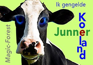 GC5RPV9 Junner Koeland (Multi-cache) in Overijssel, Netherlands created ...